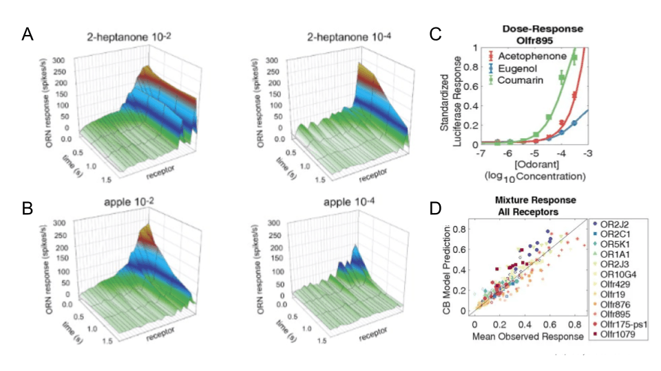Everything Looks Fine Until You Try to Predict Receptors | Lagom Notes